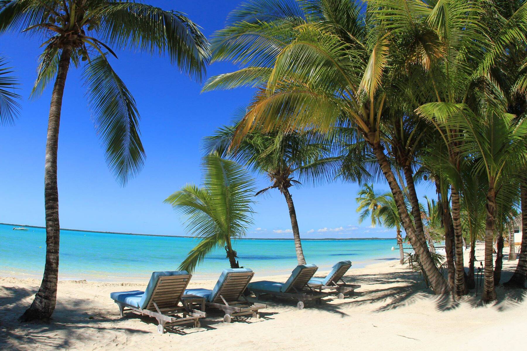 Tiamo Resort - ASW Collection